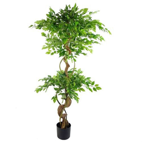 150cm Artificial Japanese Fruticosa-Style Ficus Tree with Twisted Trunk ...
