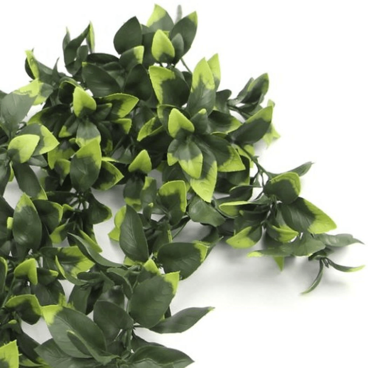 6-Pack: 71cm UV & Fire Resistant Hanging Pothos Plant - Effortless ...