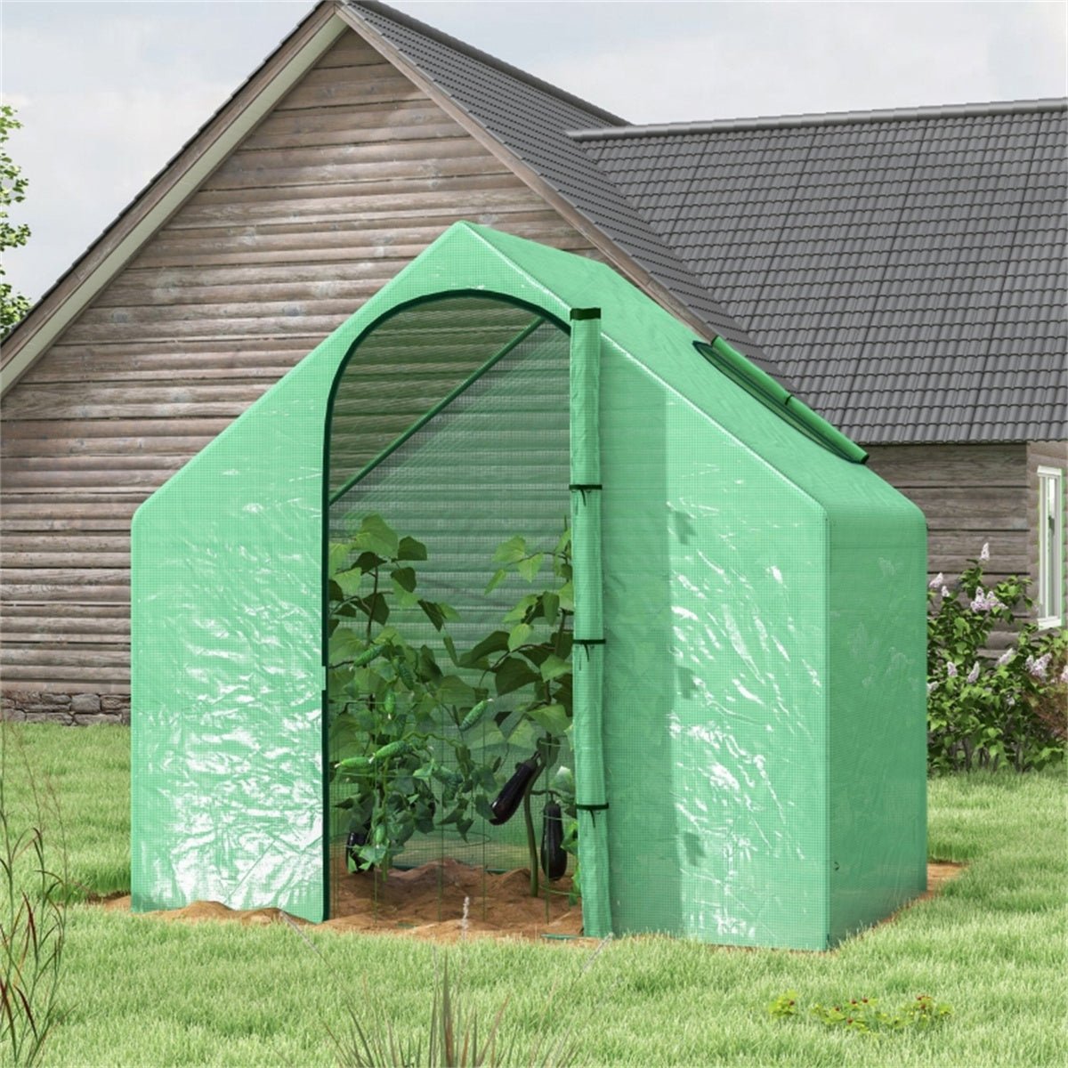Mini Walk-in Greenhouse – plants-express.com